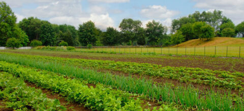 Rhode Island Farmland Preservation Program - Rhode Island Food Policy ...